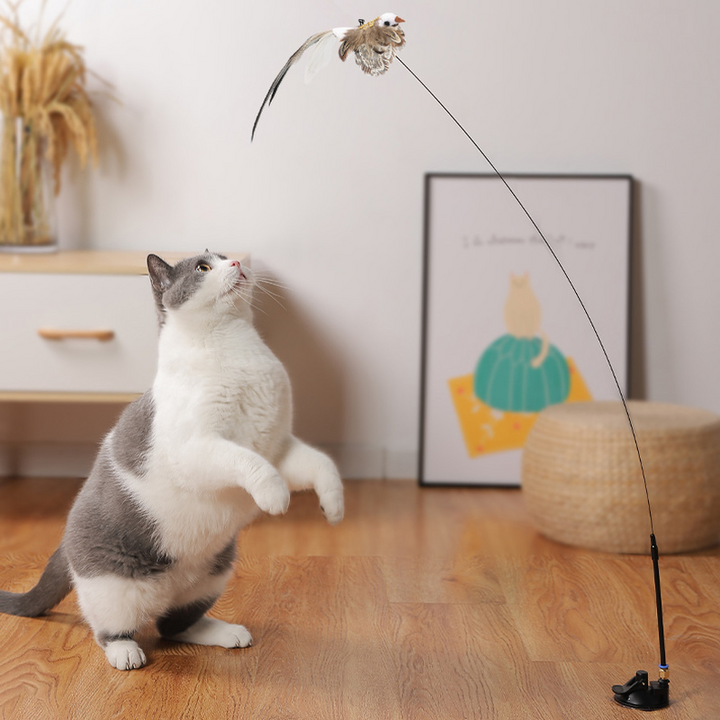 Products – Eco Home Goodies